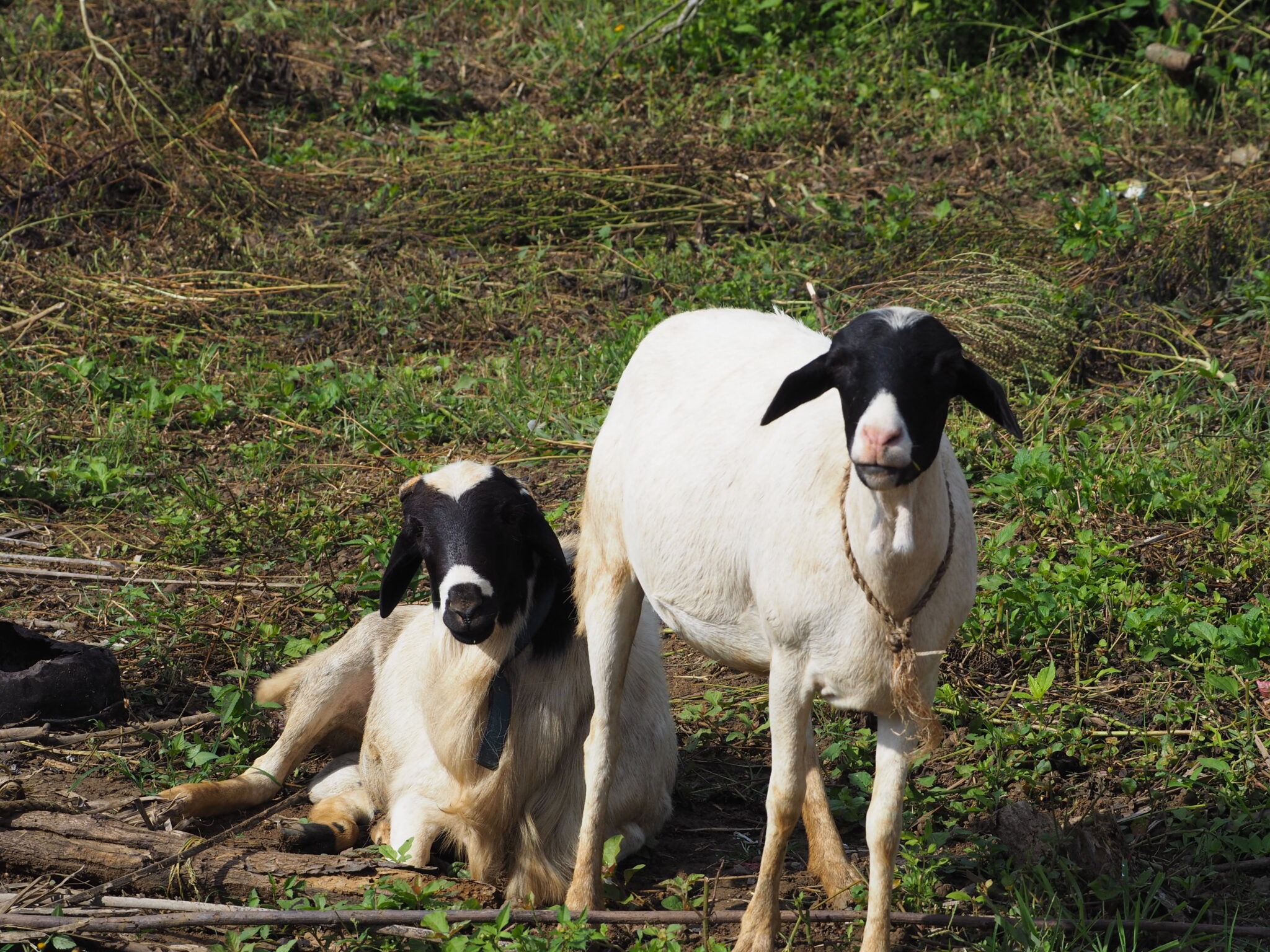 The City of Ubuntu - City of Ubuntu